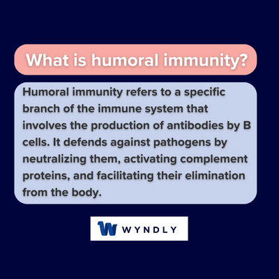 Humoral Immunity Definition: What Is Humoral Immunity? (2024) & Wyndly