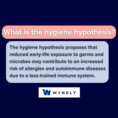 Hygiene Hypothesis Definition: What Is The Hygiene Hypothesis? (2024) & Wyndly