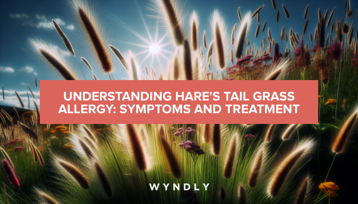 Hare's Tail Grass Allergy: Recognizing Symptoms and Treatments 2026 ...