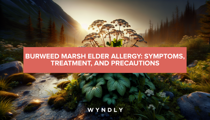 Burweed Marsh Elder Allergy: Identifying Symptoms and Treatment 2025 & Wyndly