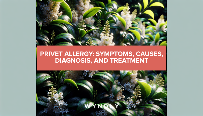 Privet Allergy: Identifying Symptoms and Effective Treatments 2026 & Wyndly