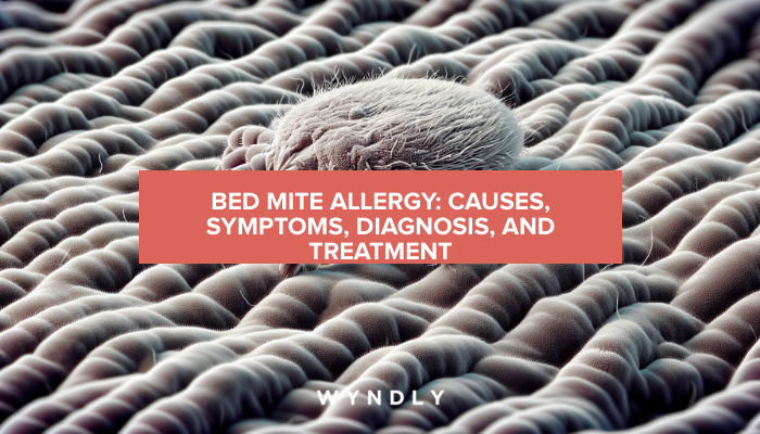 Bed Mite Allergy: Understanding Causes and Effective Treatments 2025 ...