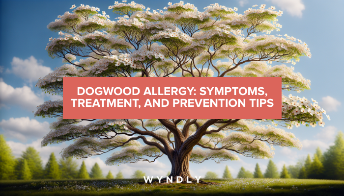 Dogwood Allergy: Identifying Symptoms and Effective Treatments 2026 ...