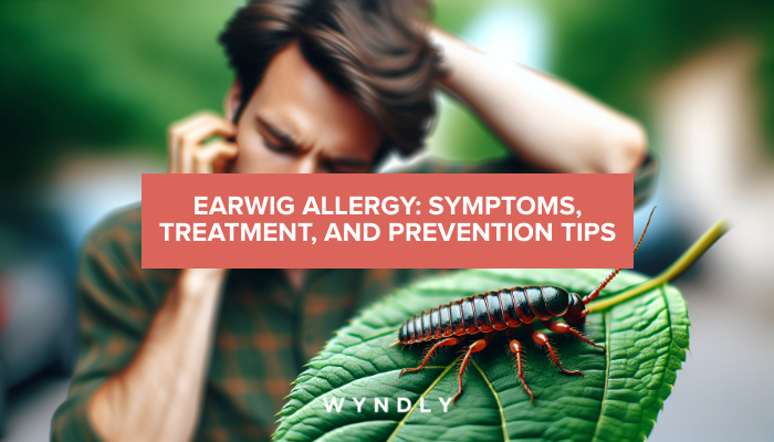 Earwig Allergy: Identifying Symptoms and Effective Treatments 2025 & Wyndly