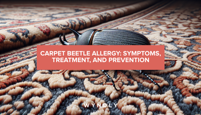 Carpet Beetle Allergy: Recognizing Symptoms and Treatment Options 2026 ...