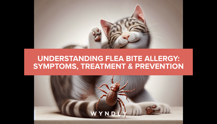 Flea Bite Allergy: Symptoms and Treatments 2025 & Wyndly