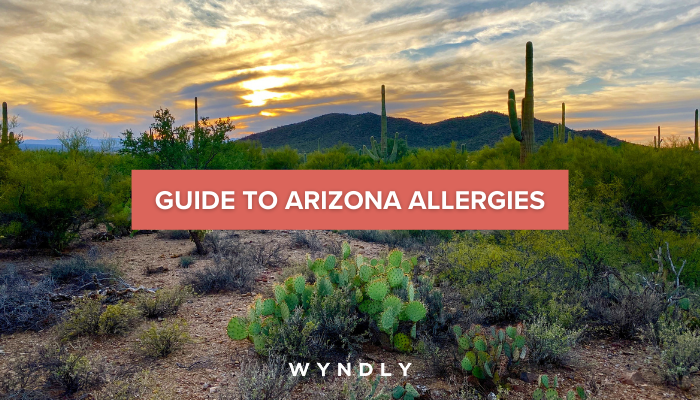 Arizona Allergy Guide: Symptoms and Treatment 2025