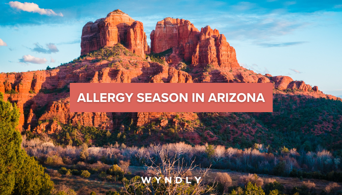 When Is Arizona Allergy Season? Start, Peak, and End 2025 & Wyndly