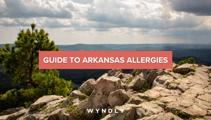 Arkansas Allergy Guide: Symptoms and Treatment 2025