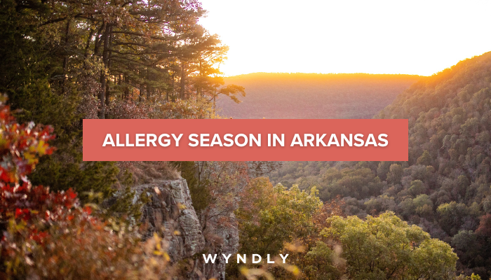 When Is Arkansas Allergy Season? Start, Peak, and End 2025 & Wyndly