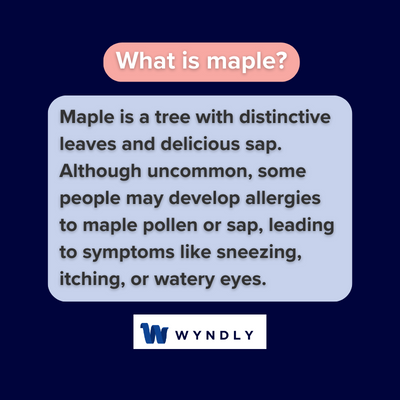 Maple Definition: What Is Maple? (2024) & Wyndly