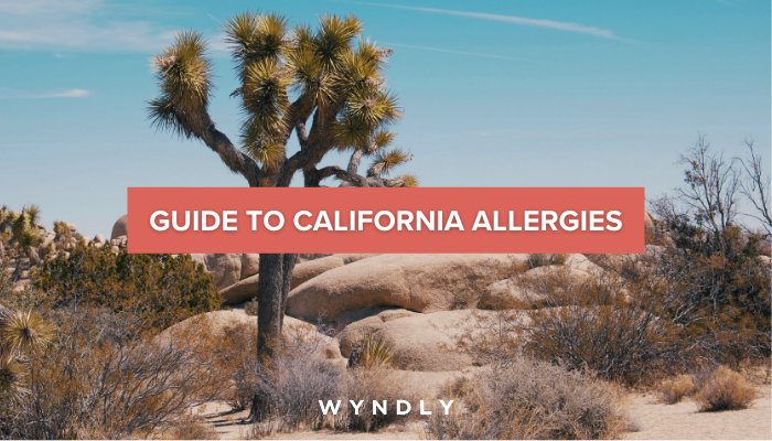 California Allergy Guide: Symptoms and Treatment 2025