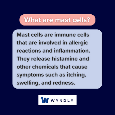 Mast Cells Definition: What Are Mast Cells? (2024) & Wyndly