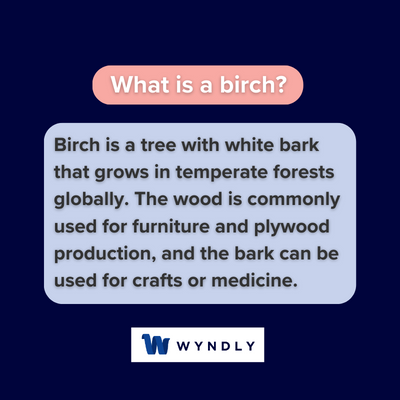 Birch Definition: What Is A Birch? (2024) & Wyndly