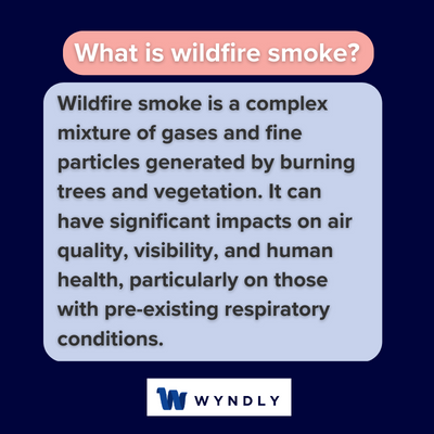 Wildfire Smoke Definition: What Is Wildfire Smoke? (2024) & Wyndly