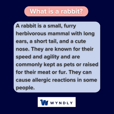 Rabbit Definition: What Is A Rabbit? (2024) & Wyndly