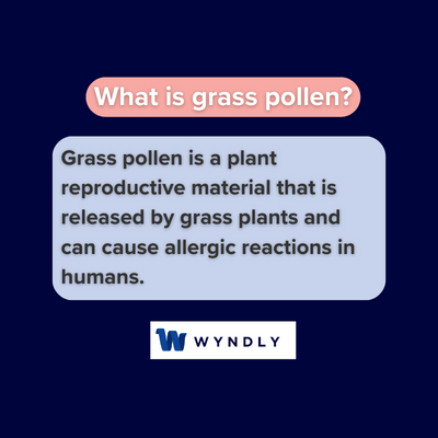 Grass Pollen Definition: What Is Grass Pollen? (2024) & Wyndly