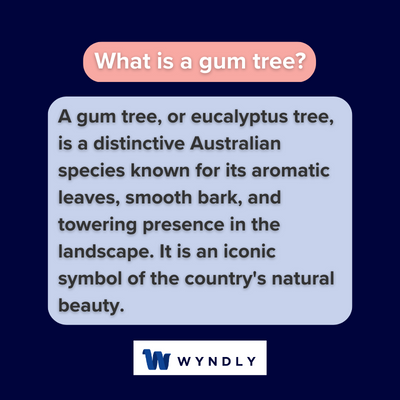Gum-tree Definition: What Is A Gum-tree? (2024) & Wyndly