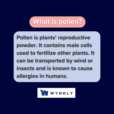 Pollen Definition: What Is Pollen? (2024) & Wyndly