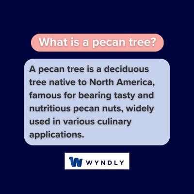 Pecan Tree Definition: What Is A Pecan Tree? (2024) & Wyndly