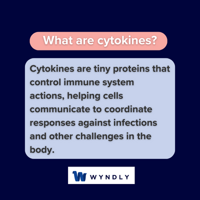 Cytokines Definition: What Are Cytokines? (2024) & Wyndly