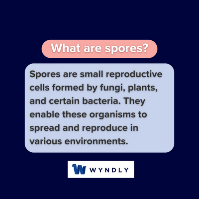 Spores Definition: What Are Spores? (2024) & Wyndly