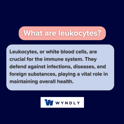 Leukocytes Definition: What Are Leukocytes? (2024) & Wyndly