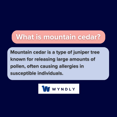 Mountain Cedar Definition: What Is Mountain Cedar? (2024) & Wyndly