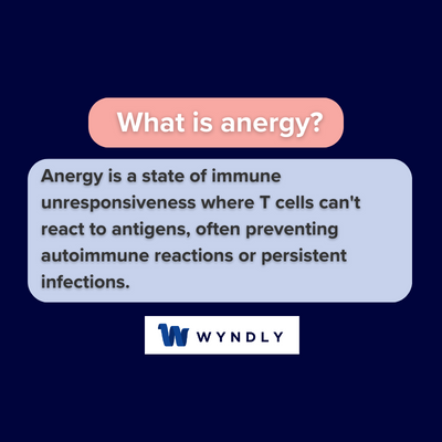 Anergy Definition: What Is Anergy? (2024) & Wyndly