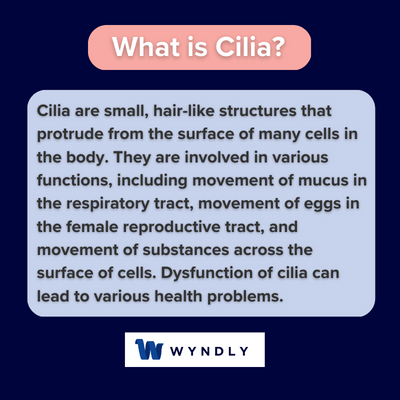 Cilia Definition: What is Cilia? (2024) & Wyndly