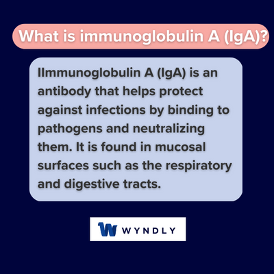 Immunoglobulin A (IgA) Definition: What Is Immunoglobulin A (IgA ...