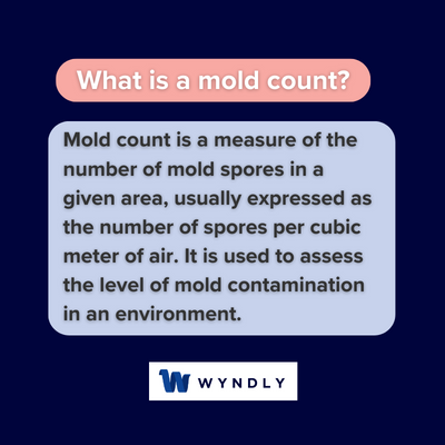 Mold Count Definition: What Is A Mold Count? (2024) & Wyndly