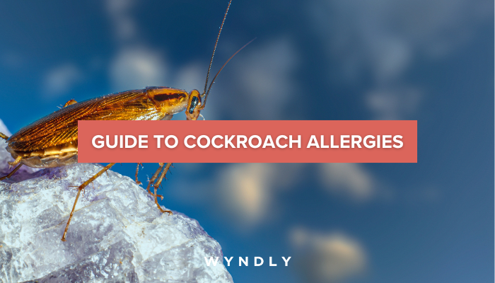 Cockroach Allergy Cause, Symptoms, Treatment 2025 & Wyndly