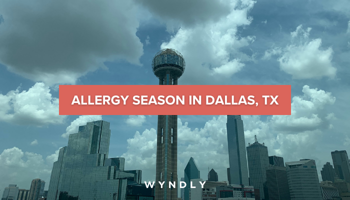 When Is Dallas Allergy Season? Start, Peak, and End (2024) & Wyndly