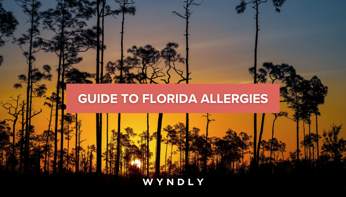 Florida Allergy Guide: Symptoms and Treatment 2025