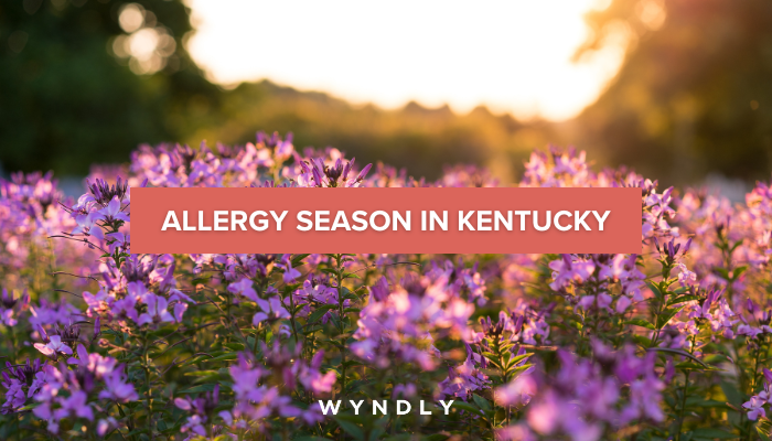 When Is Kentucky Allergy Season? Start, Peak, and End (2024) & Wyndly