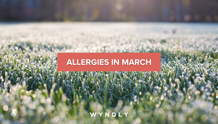 Allergies in March: Symptoms, Diagnosis, and Treatment (2024) & Wyndly