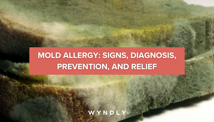 Allergy to Mold: Symptoms, Causes, and Treatment 2025 & Wyndly
