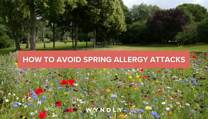Spring Allergies: Symptoms, Causes, and Treatments 2025 & Wyndly