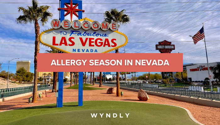 When Is Nevada Allergy Season? Start, Peak, and End 2025 & Wyndly