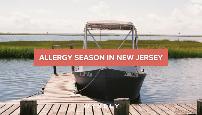 When Is New Jersey Allergy Season? Start, Peak, and End (2023) & Wyndly