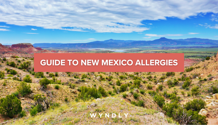 New Mexico Allergy Guide: Symptoms and Treatment 2026