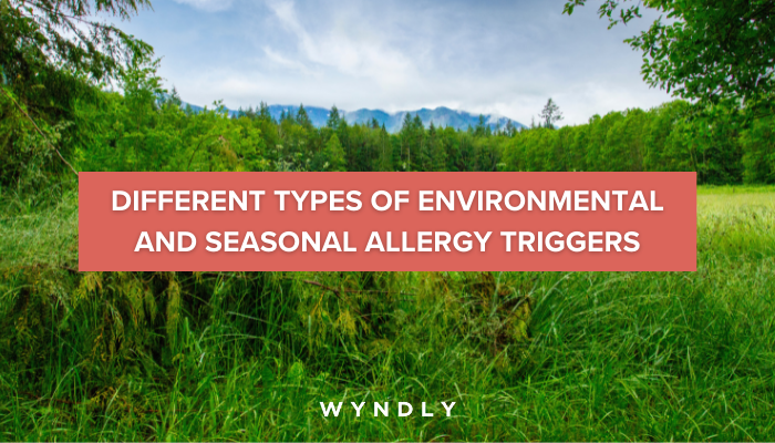 What Are the Common Indoor, Outdoor, and Seasonal Allergies? & Wyndly