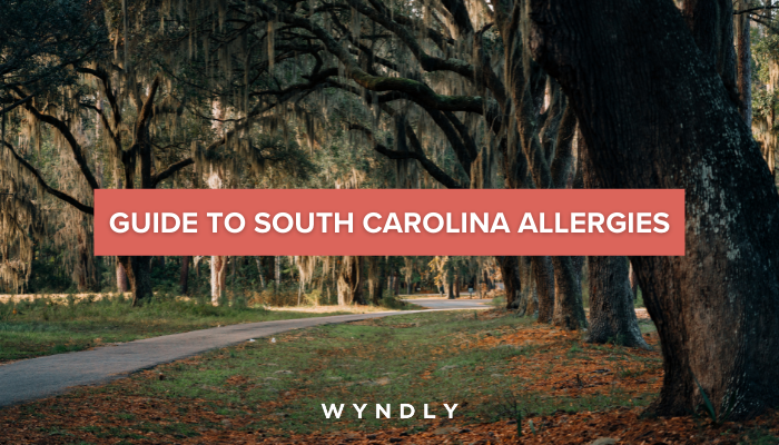 South Carolina Allergy Guide: Symptoms and Treatment 2025