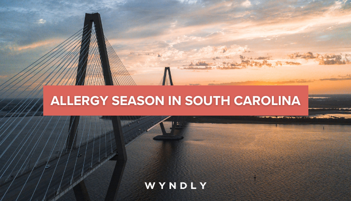 South Carolina Allergy Season: Start, Peak, and End 2025 & Wyndly