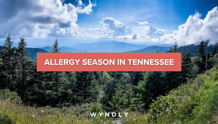 When Is Tennessee Allergy Season? Start, Peak, and End 2025 & Wyndly
