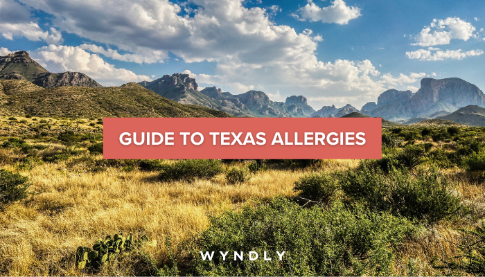 Texas Allergy Season: Symptoms & Treatment in 2026