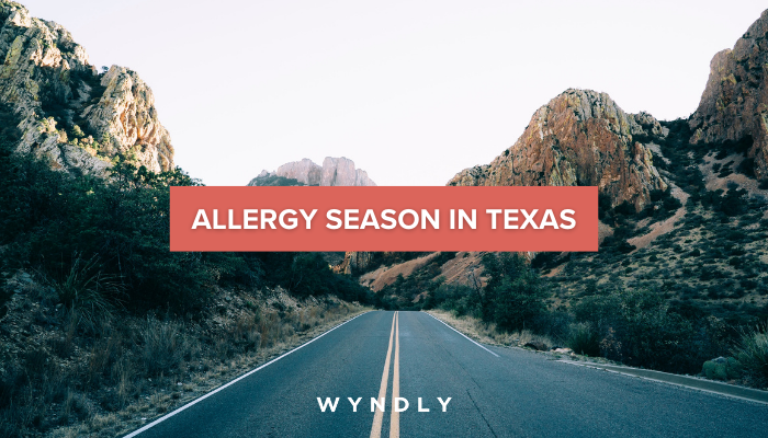 Texas Allergy Season: Start, Peak, and End 2025 & Wyndly
