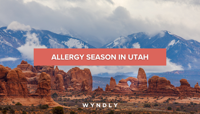Utah Allergy Season: Start, Peak, and End 2025 & Wyndly