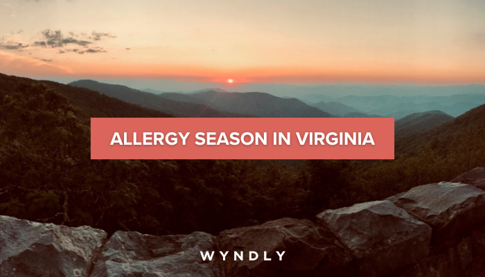 When Is Virginia Allergy Season? Start, Peak, and End (2024) & Wyndly